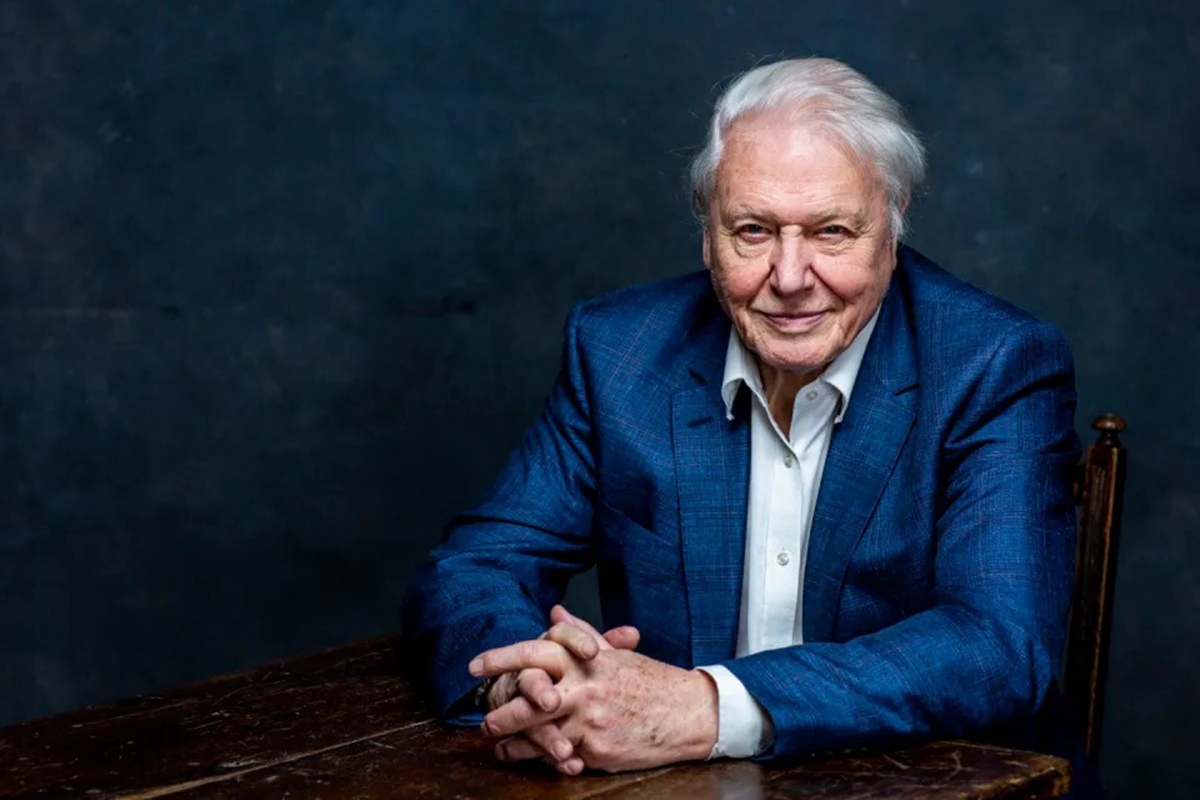 98 éves David Attenborough – Greenfo