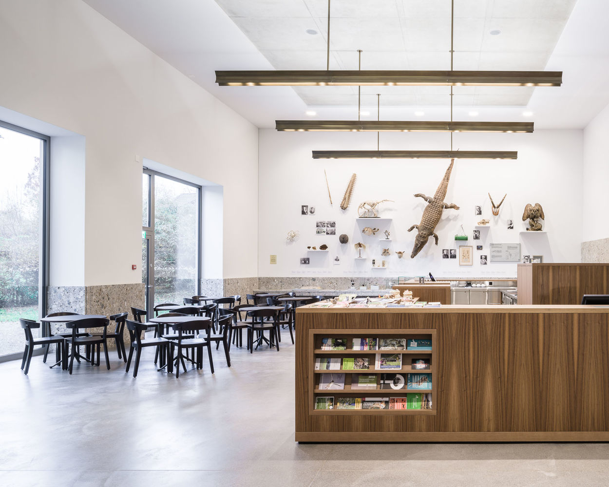 naturmuseum – horgenglarus