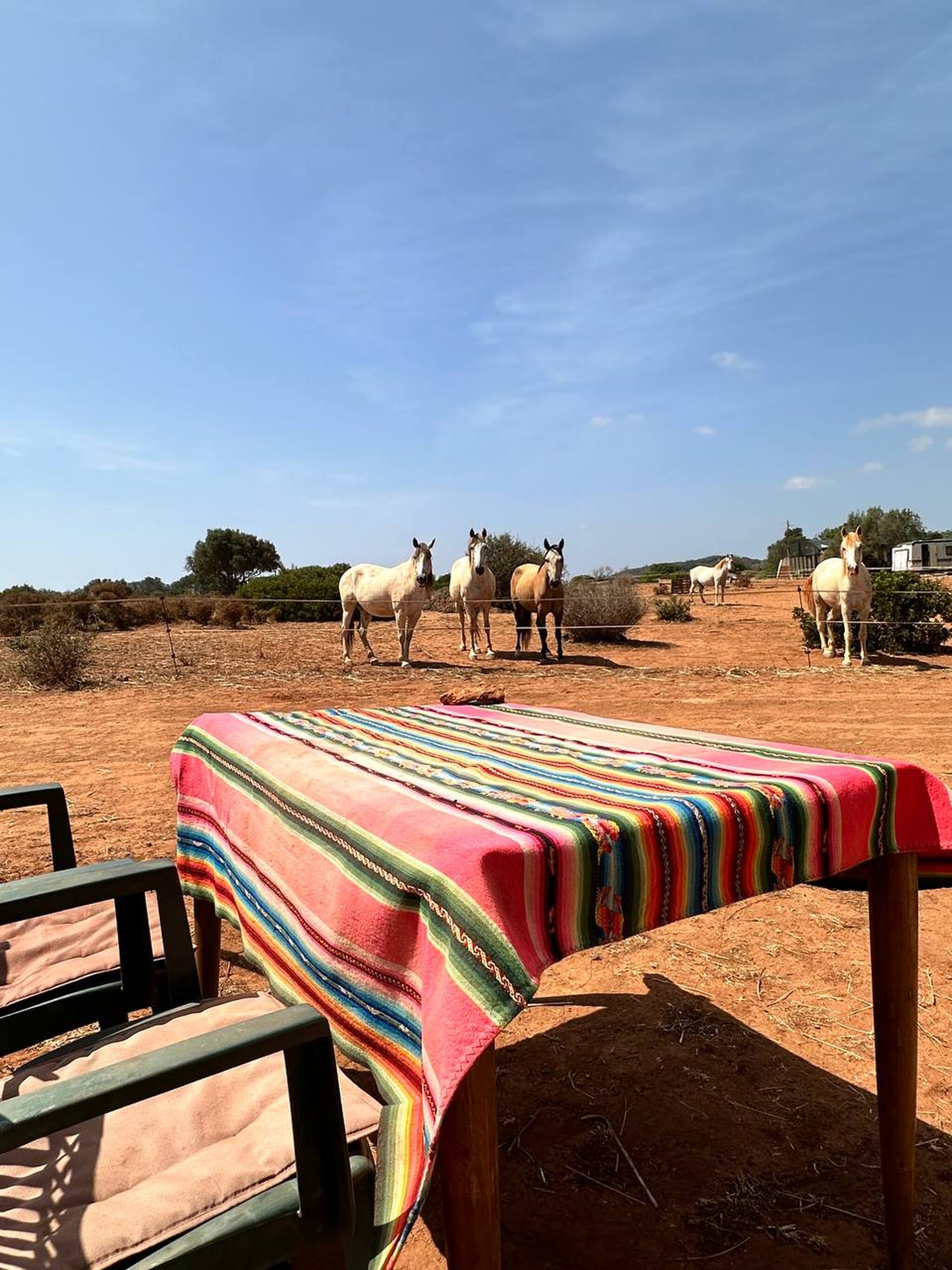Carovana Michas Per 2 Guarda La Mandria Di Cavalli Dal Tuo Letto - Praia da Luz