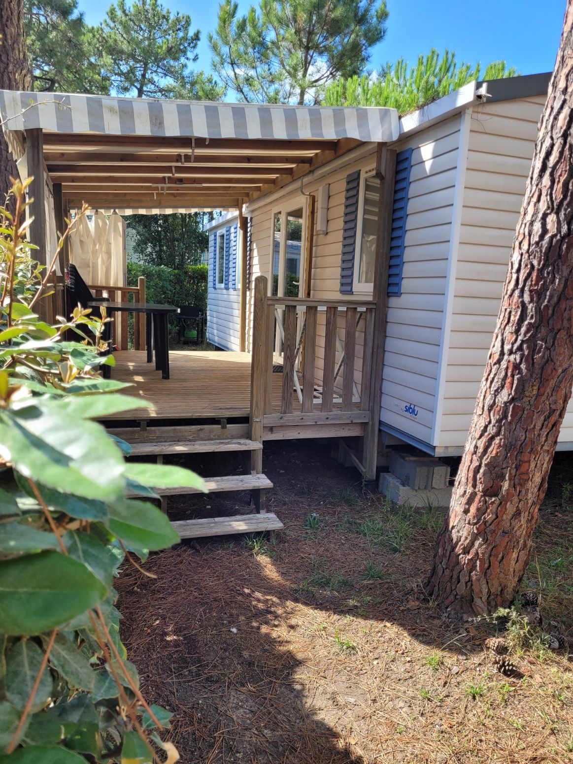 De L'anse À La Coubre - Les Mathes