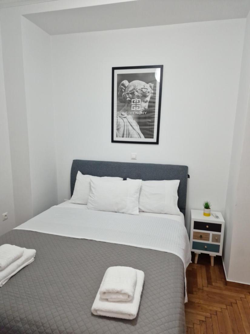 Luxury Apartment Kato Patissia - Athens