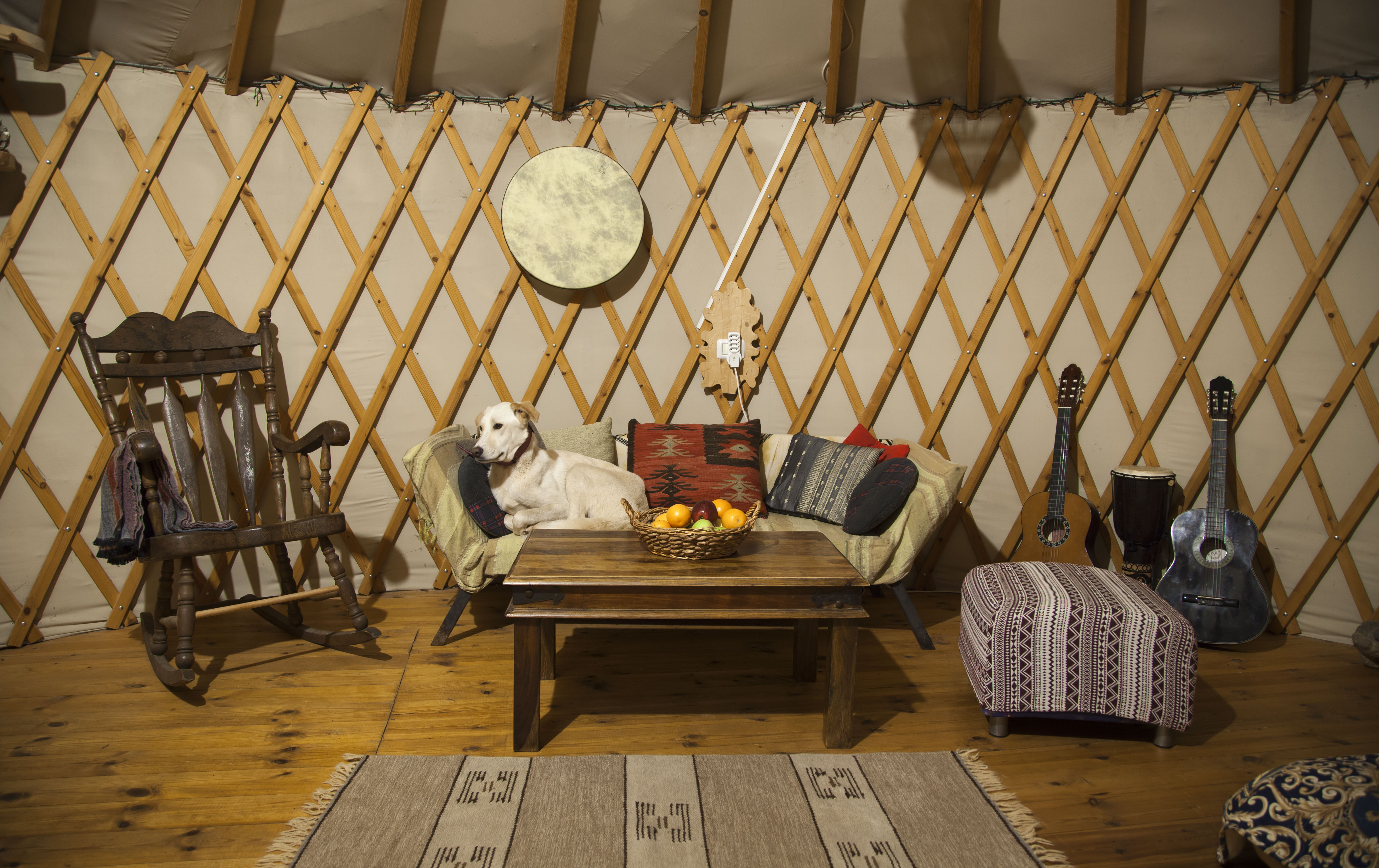 Yurt Located In A Little Oak Grove - Israel