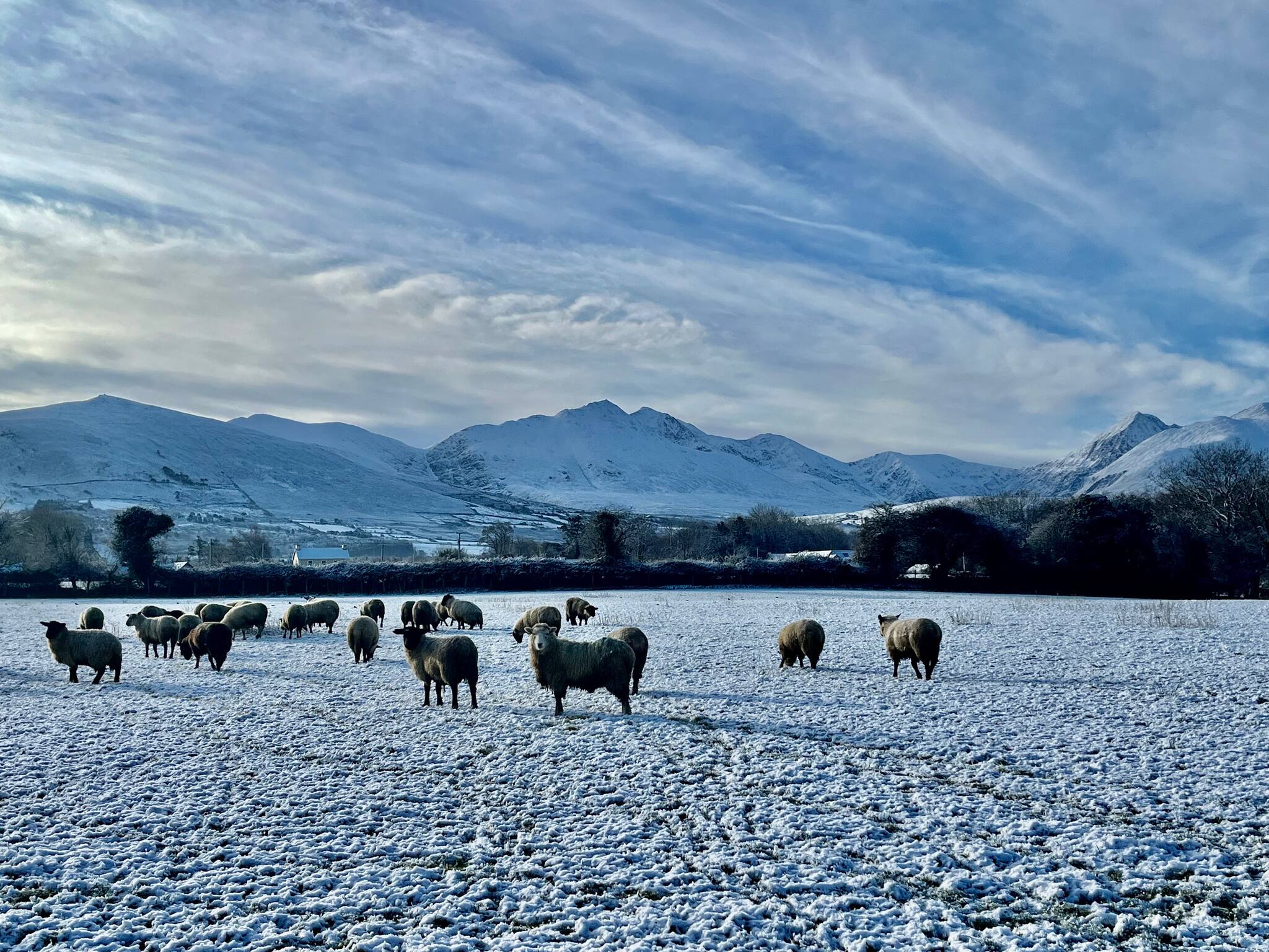 Cosy Farm Cottage On The Ring Of Kerry - Dingle Peninsula