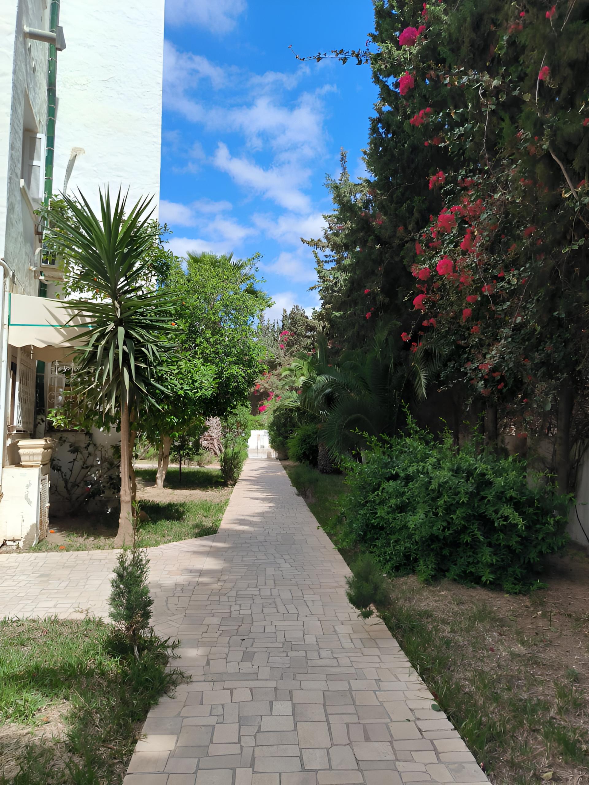 Yasmina Apartment In The Heart Of The Tourist Area - Tunisia