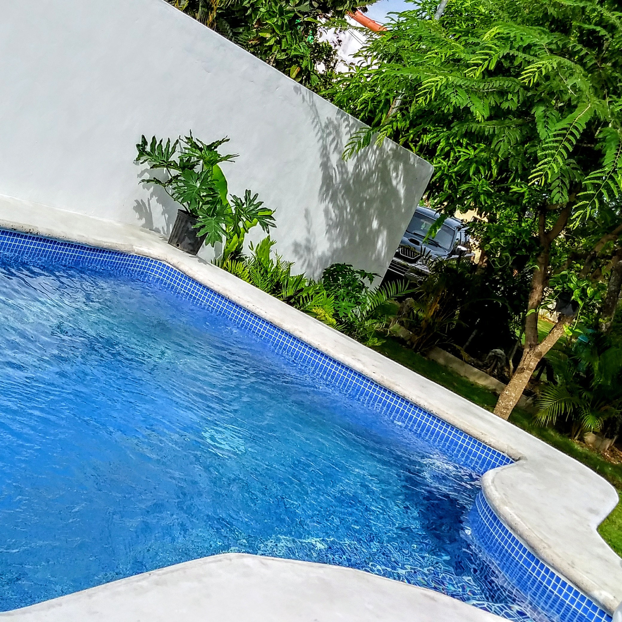 The Count Of Villa Rosa - Punta Cana
