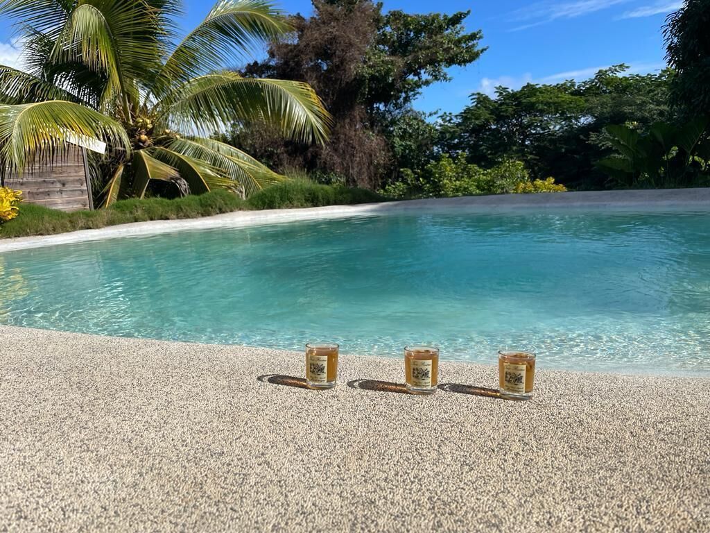 Villa Low Air-conditioned Private Lagoon Pool And Garden Beach 15 Minutes Walk - Martinique