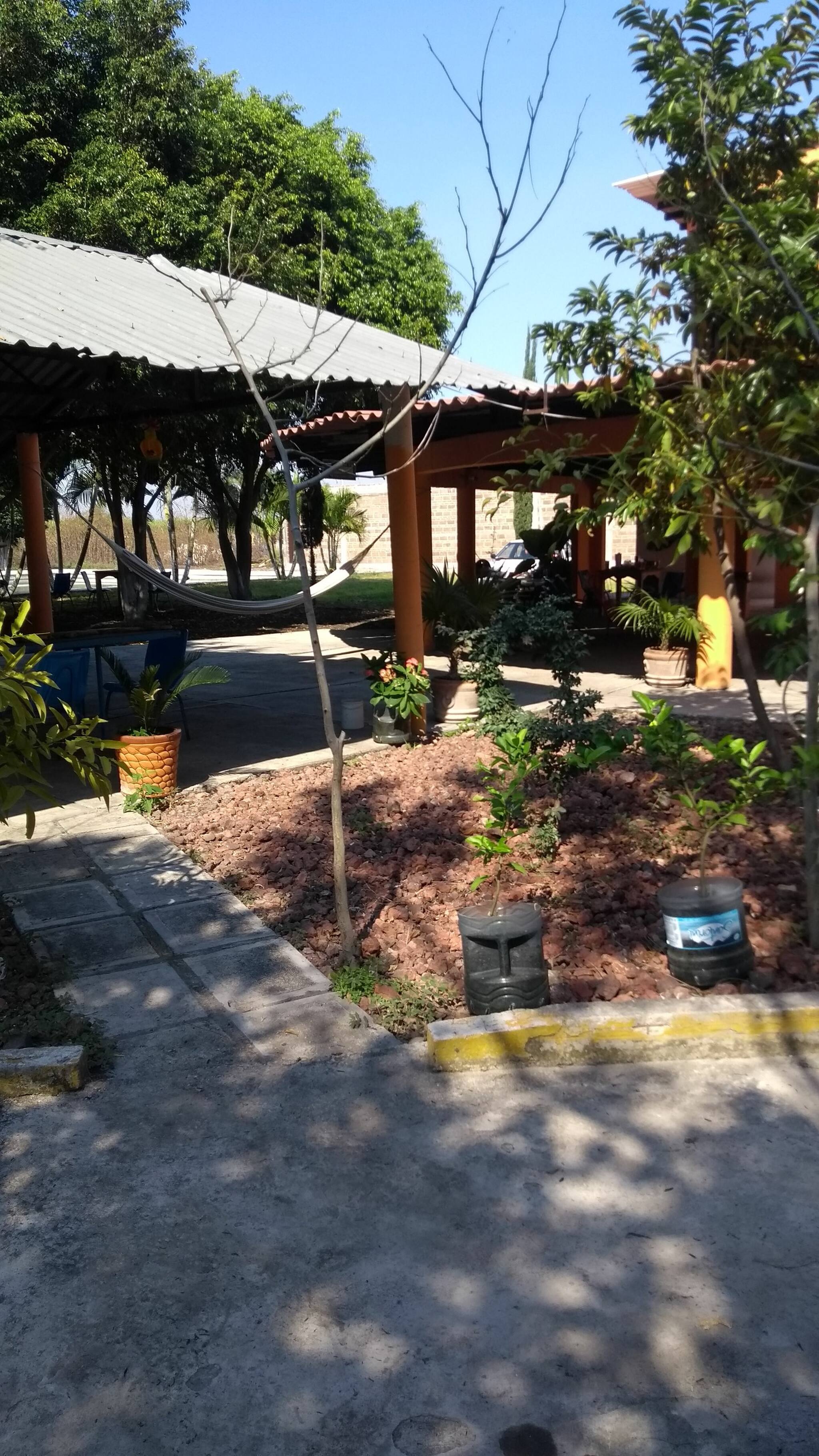 Hospedaje Familiar Op2 - Guerrero
