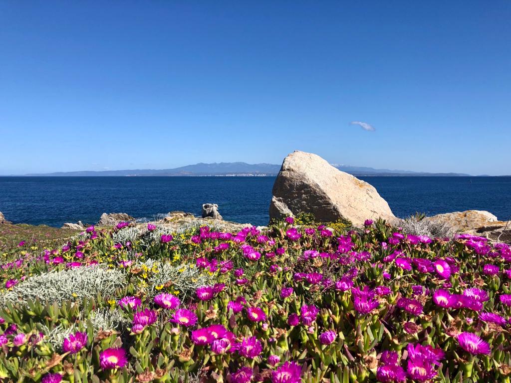 Relaxing Cristal Bedroom Apartment Sleeps Num1502 - Santa Teresa Gallura