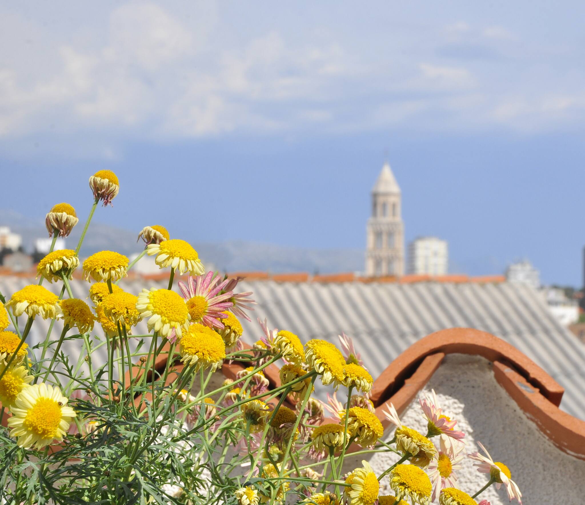 Camera Con Vista Sulla Città E Sul Mare - Spalato