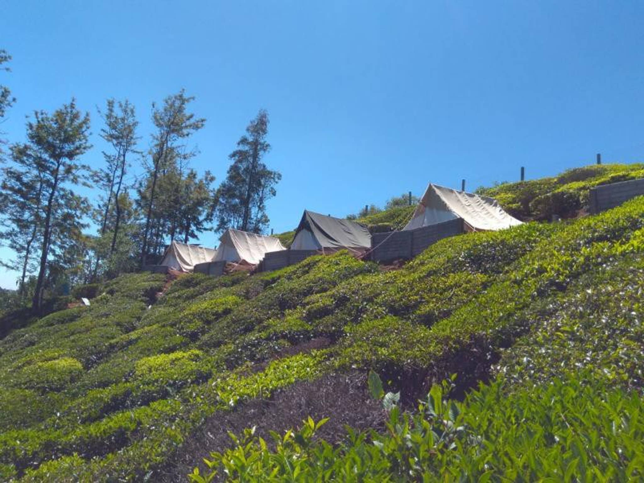 Swiss Tents In Ooty, Tn - Kerala