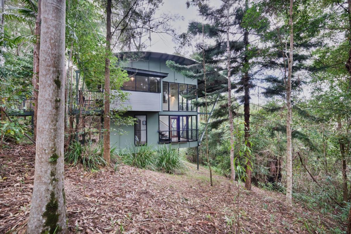 Forest Chalet – Nature Therapy Sanctuary - Murwillumbah