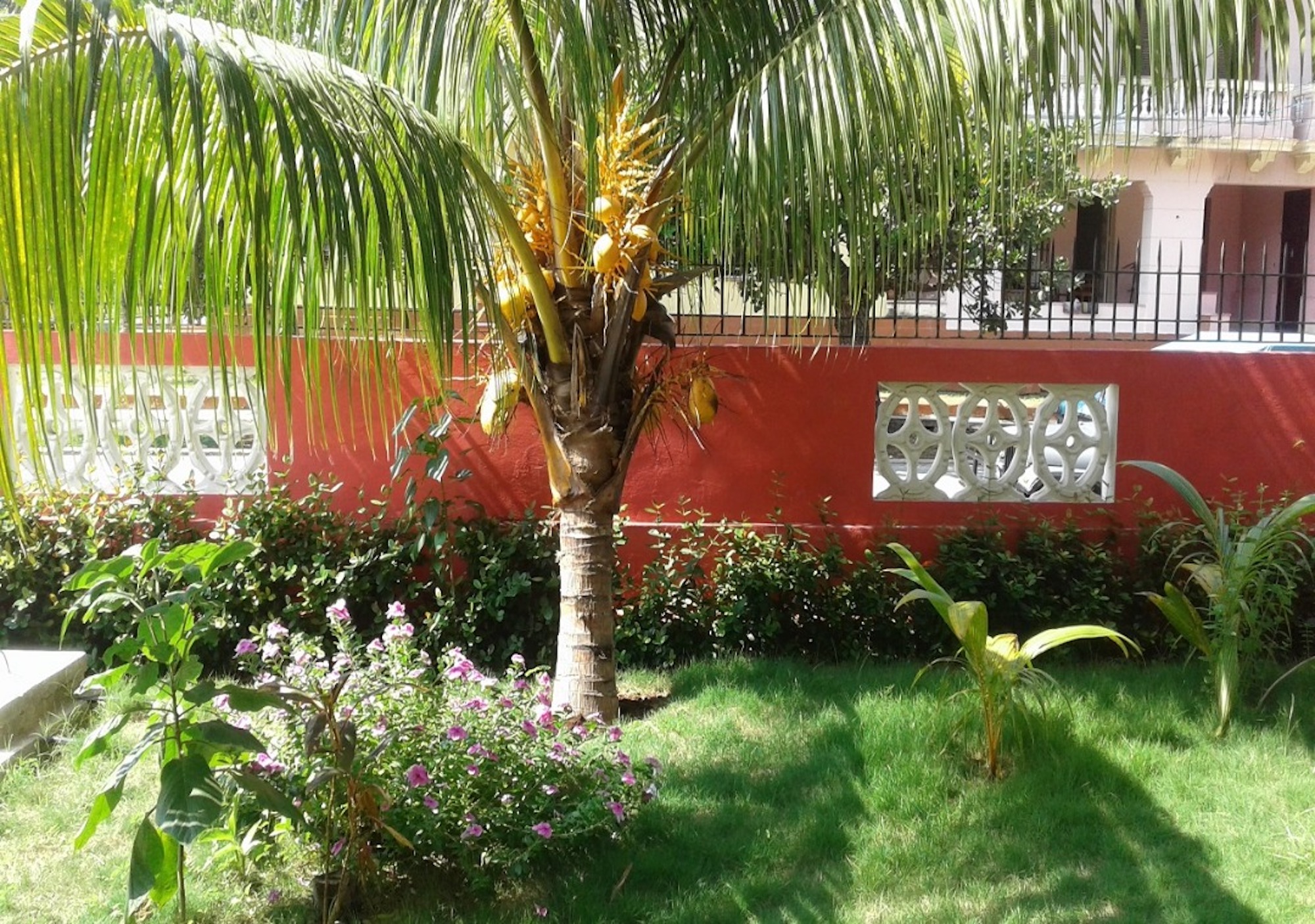 Casa Liduvina Tp Vedado - Cuba