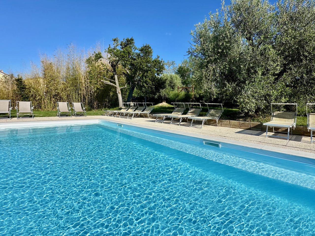 La Mimosa Sulle Colline Di Senigallia Con Piscina Y Aria Condicionada - Senigallia