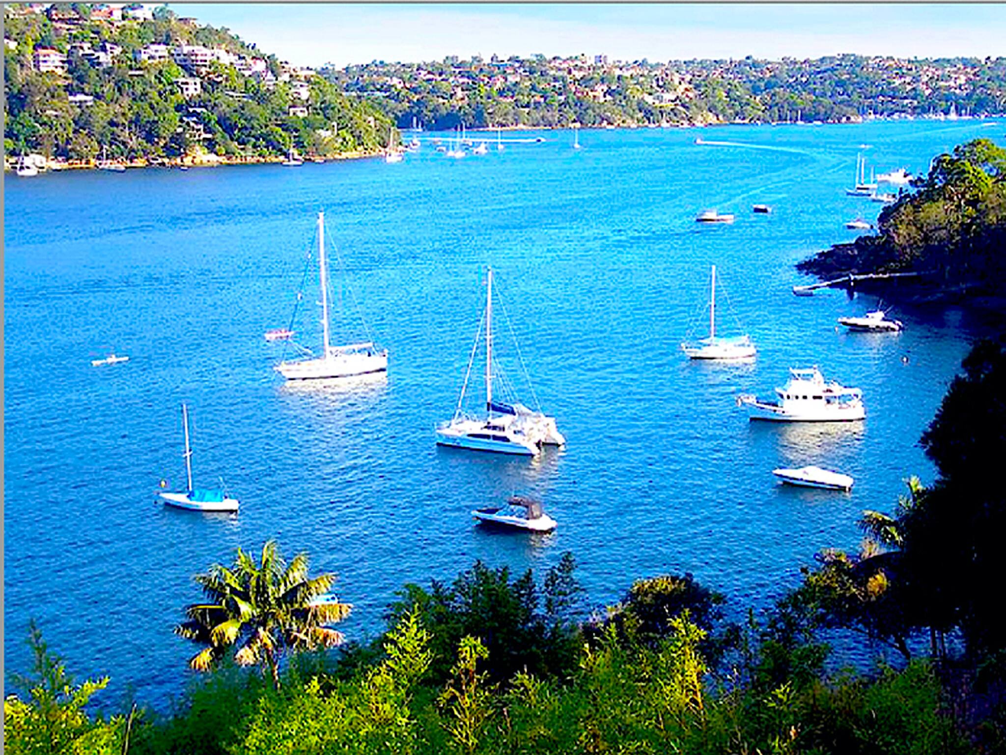 Uni Eco Waterfront Grand Home! 5 Sleeps! Near City - Mosman