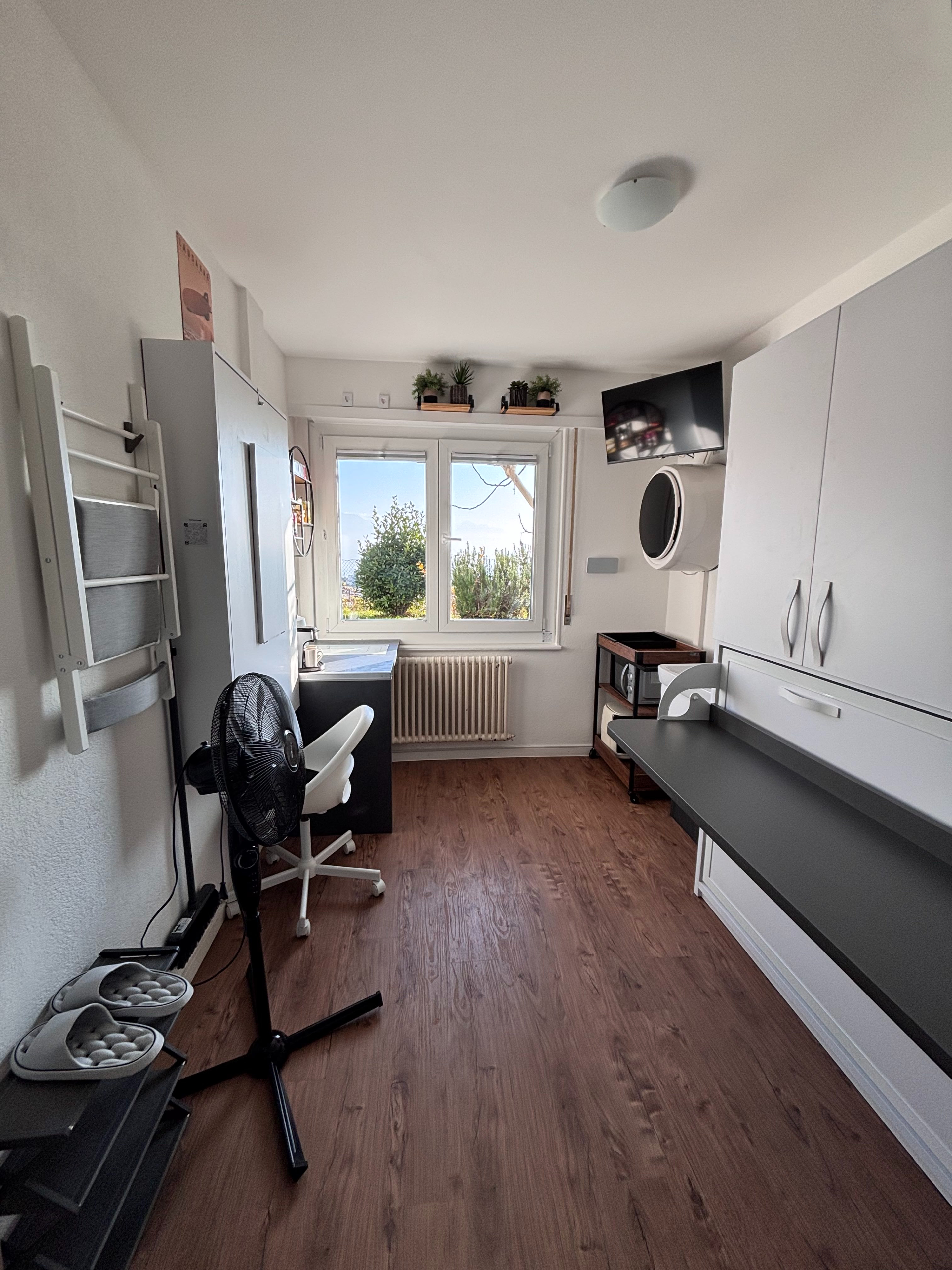 Lake View Room In Pully With Washing Machine - Grape Place Bellevue - Switzerland