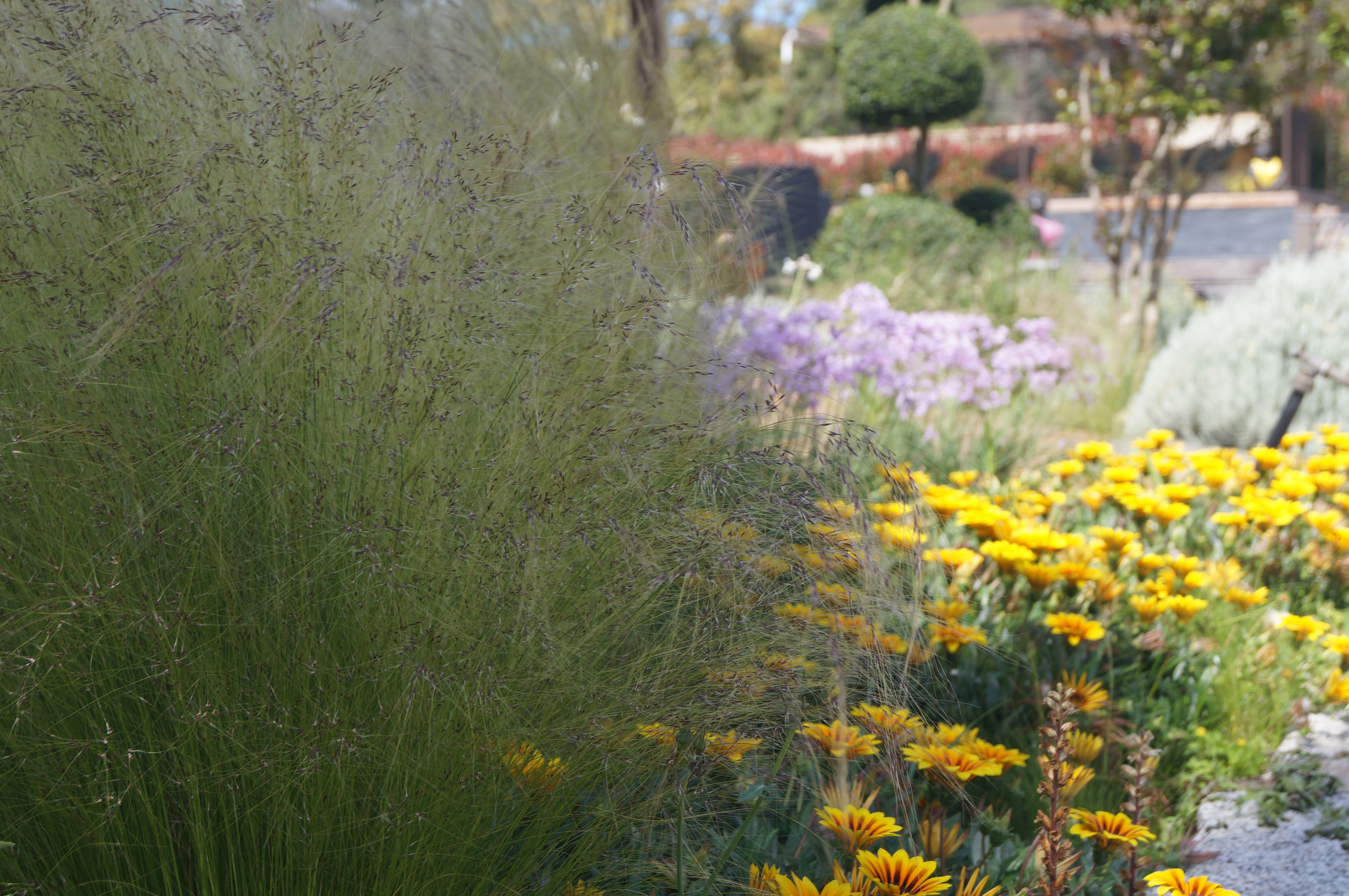 Les Jardins De Santa Giulia - Charmante Chambre D'hôte - Porto-Vecchio