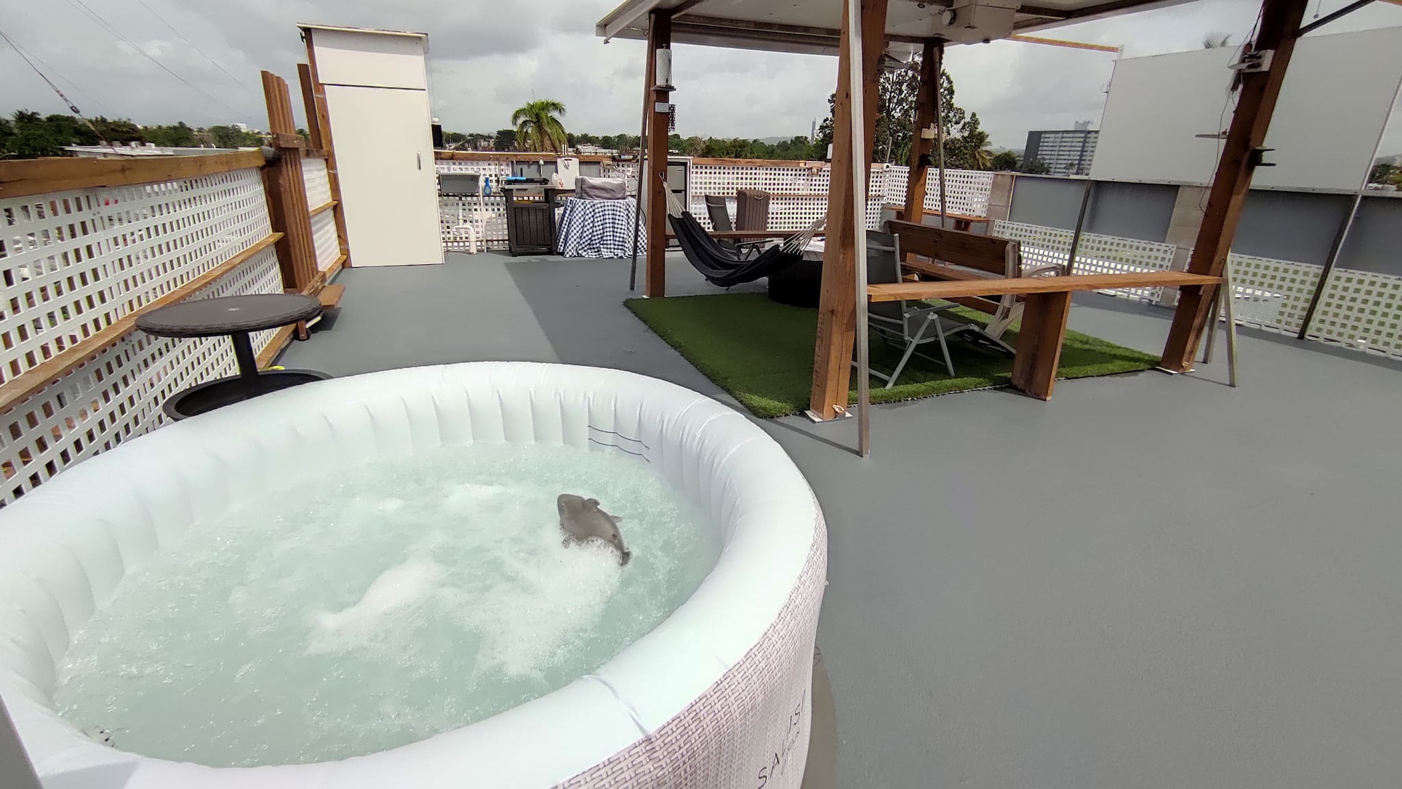 Acogedor Y Moderno Apartamento Blanco Y Negro Con Jacuzzi En Terraza Y Balcón - Bayamón