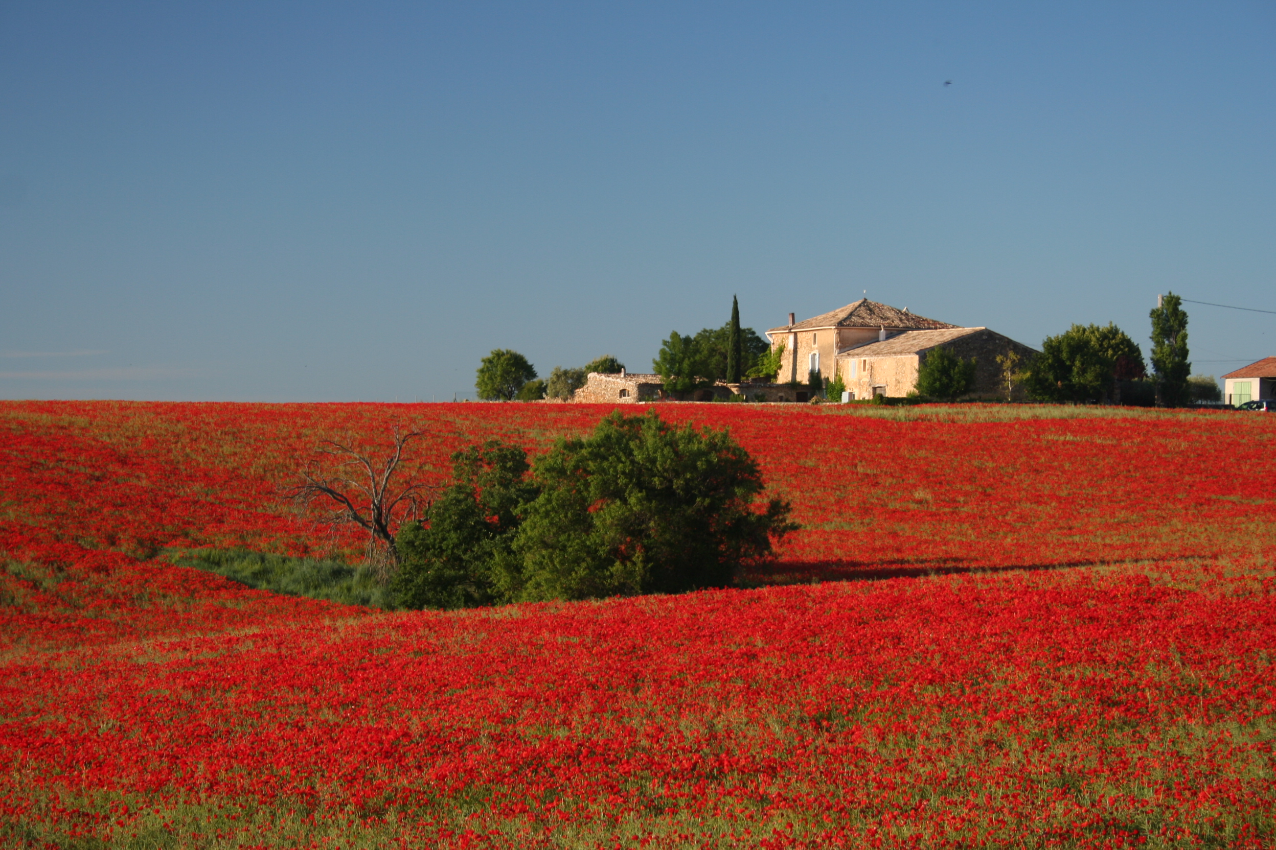 Farmhouse In Clos De La Tuilerie - Gréoux-les-Bains