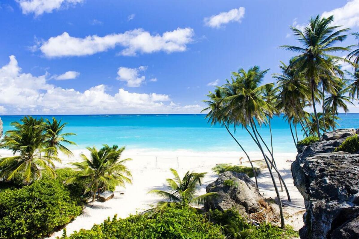 Apartamento Tropical Con Patio Privado, A Pasos De Playas, Tiendas Y Cafeterías - Barbados