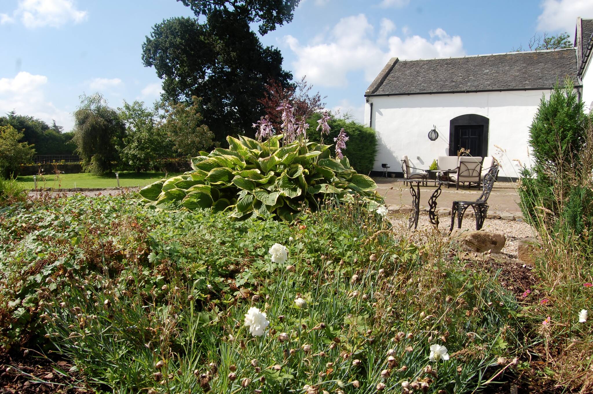Campagne Du Centre De L'écosse Avec Cabane De Barbecue En Plein Air - Strathaven