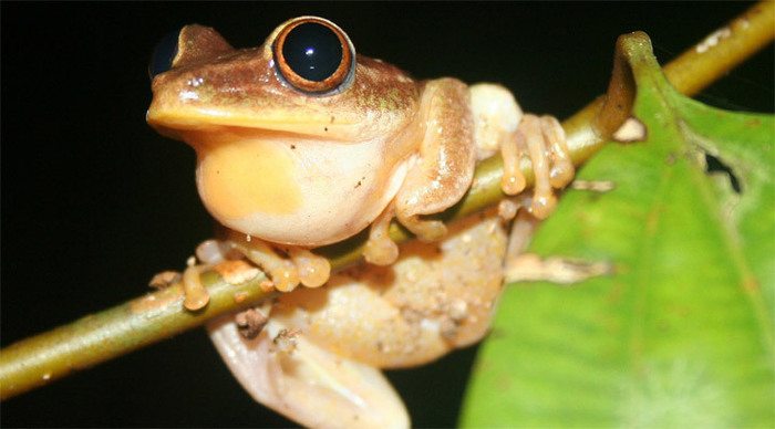 Hyrbil Seychellerna (Mahé & Praslin Islands) 🚗 | Indcen Resor