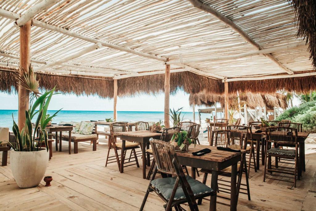 The secret of tranquility | Find it at the Papaya Playa Project