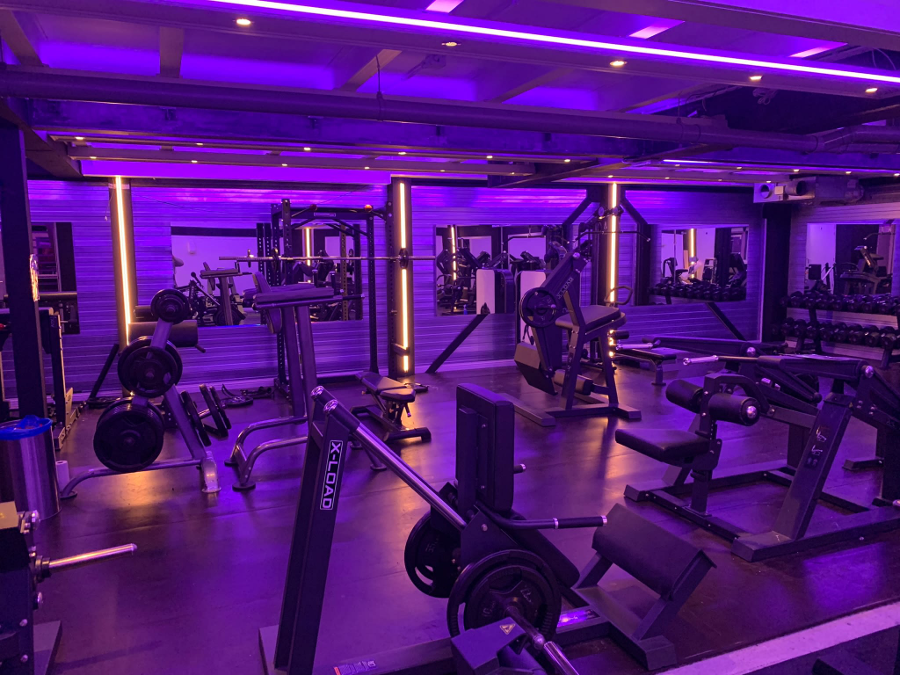 Dutch Gym | Workit