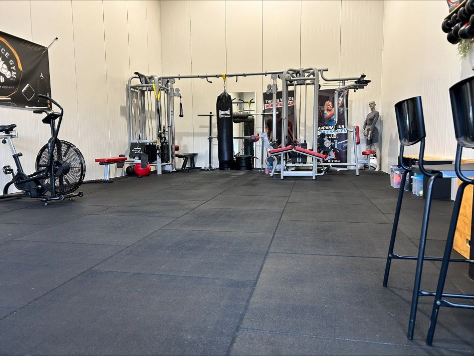 Experience Gym | Workit