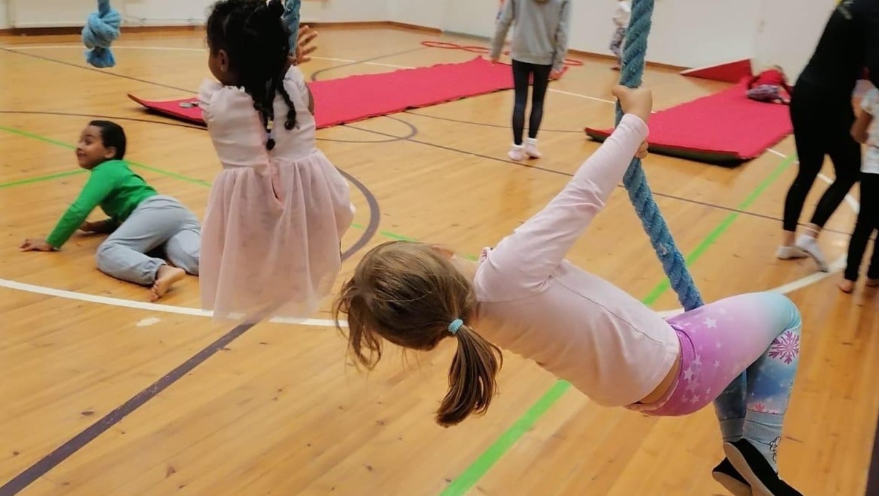 FreeGym +6v. Viertola LA