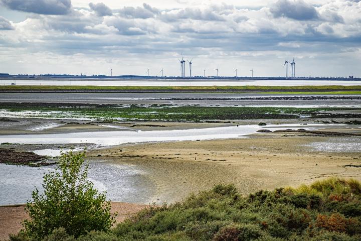 (Be)Leefbare Schelde - Watersnoodmuseum