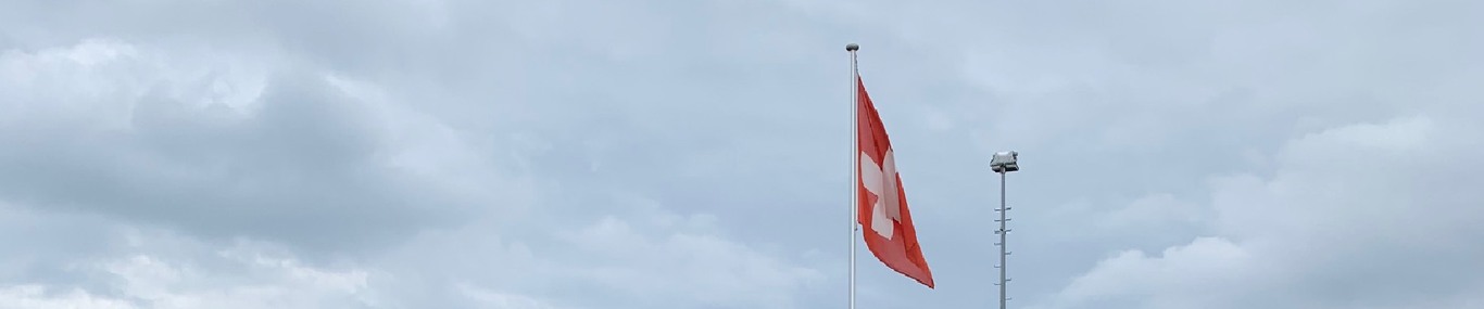 Roger Gubler Holzbau