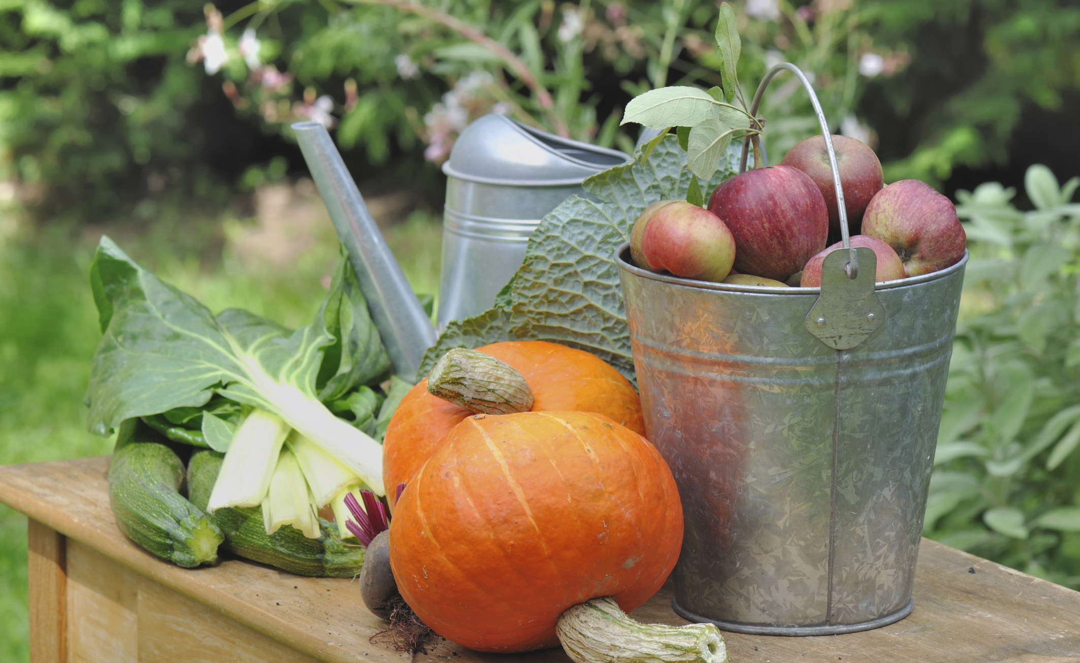 Ecco 5 alimenti autunnali super-sani | Pazienti.it