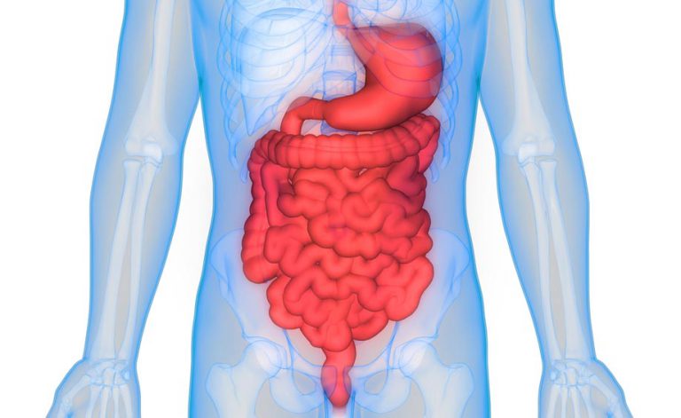 Forma, colore e consistenza delle feci | Pazienti.it