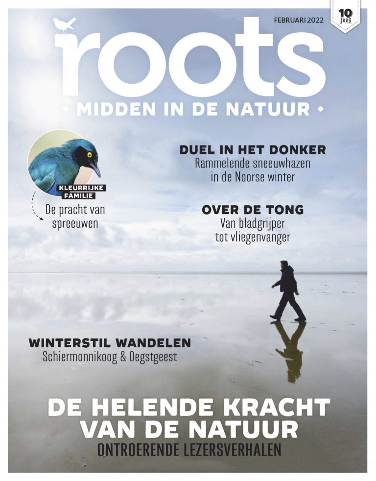 Roots magazine
