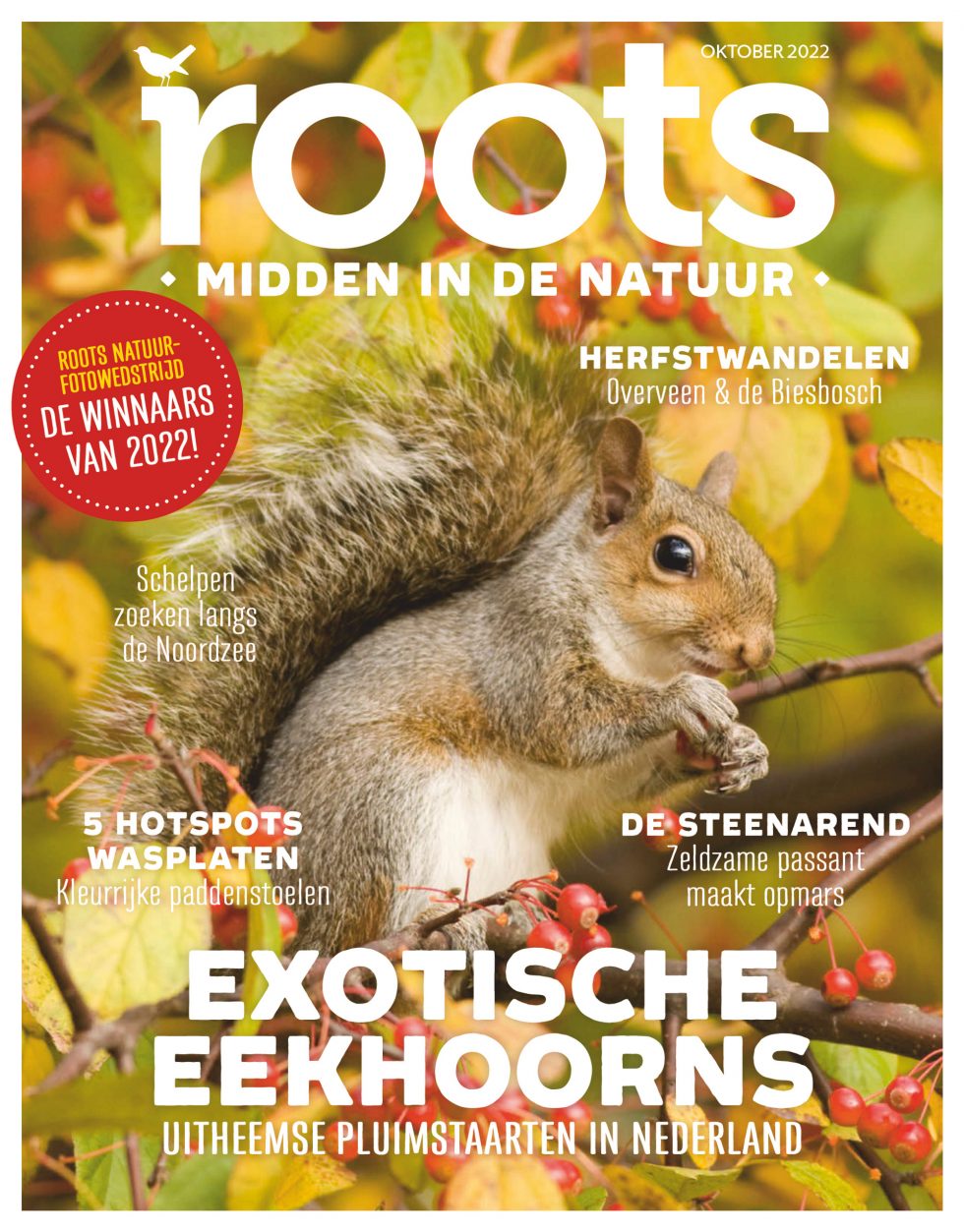 Overzicht van alle Roots-routes