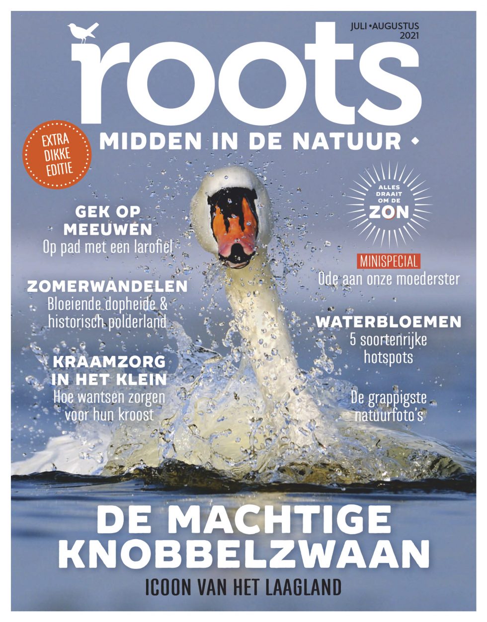 Roots magazine