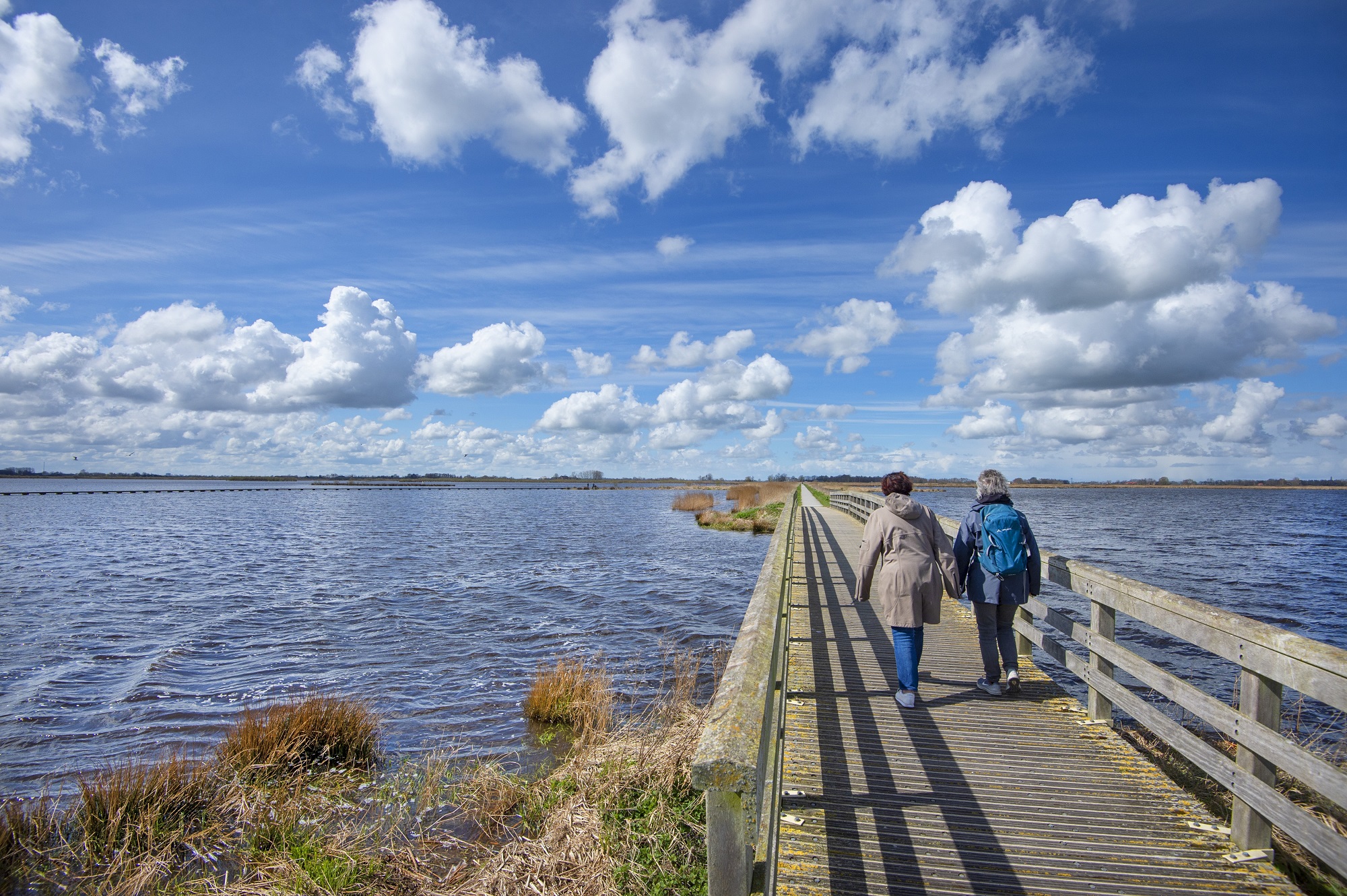 Nieuwste wandelroute van Roots: dwars door 't Roegwold