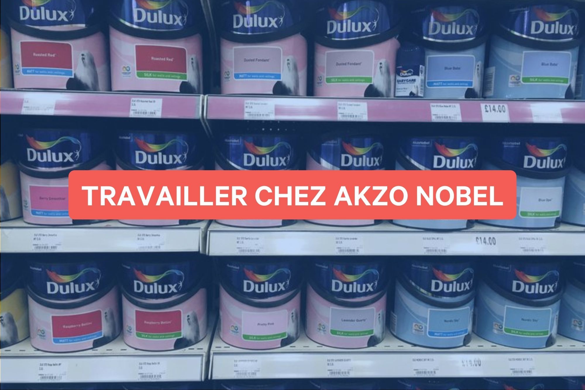 Comment réussir sa mission chez Akzo Nobel