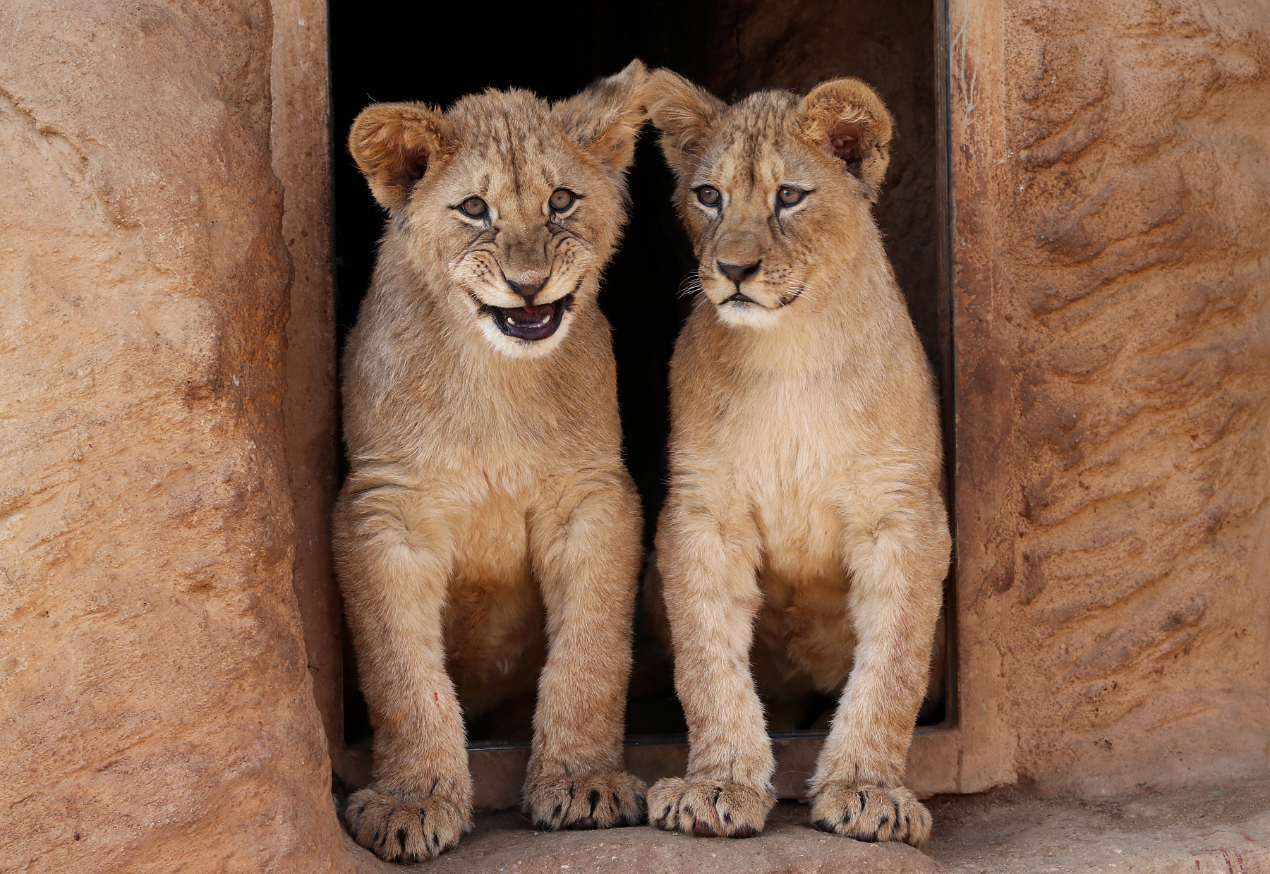 Zoo Pilsen – Visit Plzeň