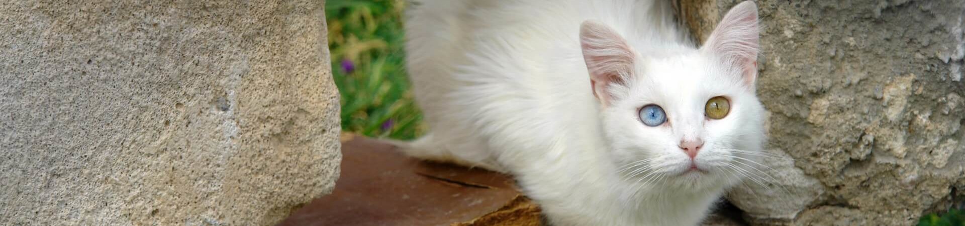 Dlaczego Warto Zwiedzić Prowincję Wan? | Poradnik Turystyczny, Blog ...