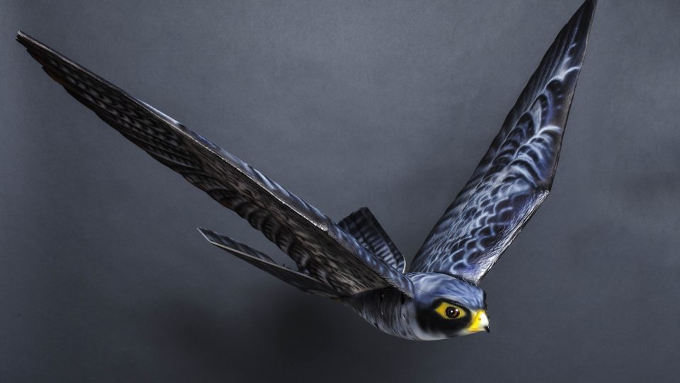 Tier-Roboter: Überall im Einsatz für Mensch und Natur