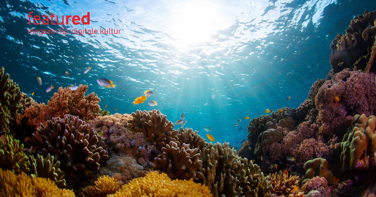 Projekt Coral Crafters: So kannst Du mit Minecraft die Ozeane retten