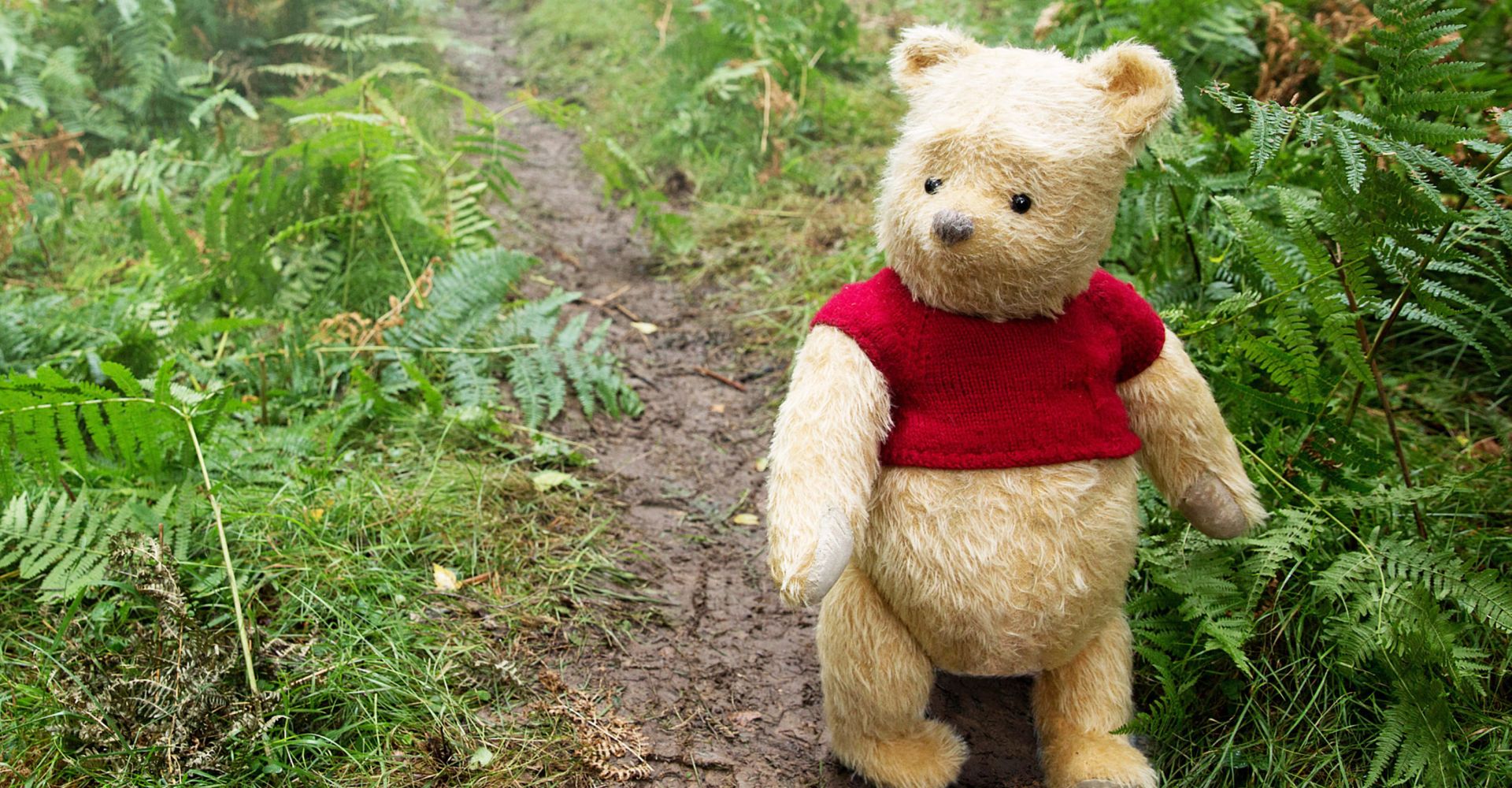 Winnie Puuh: Disney soll weitere Live-Action-Verfilmung planen