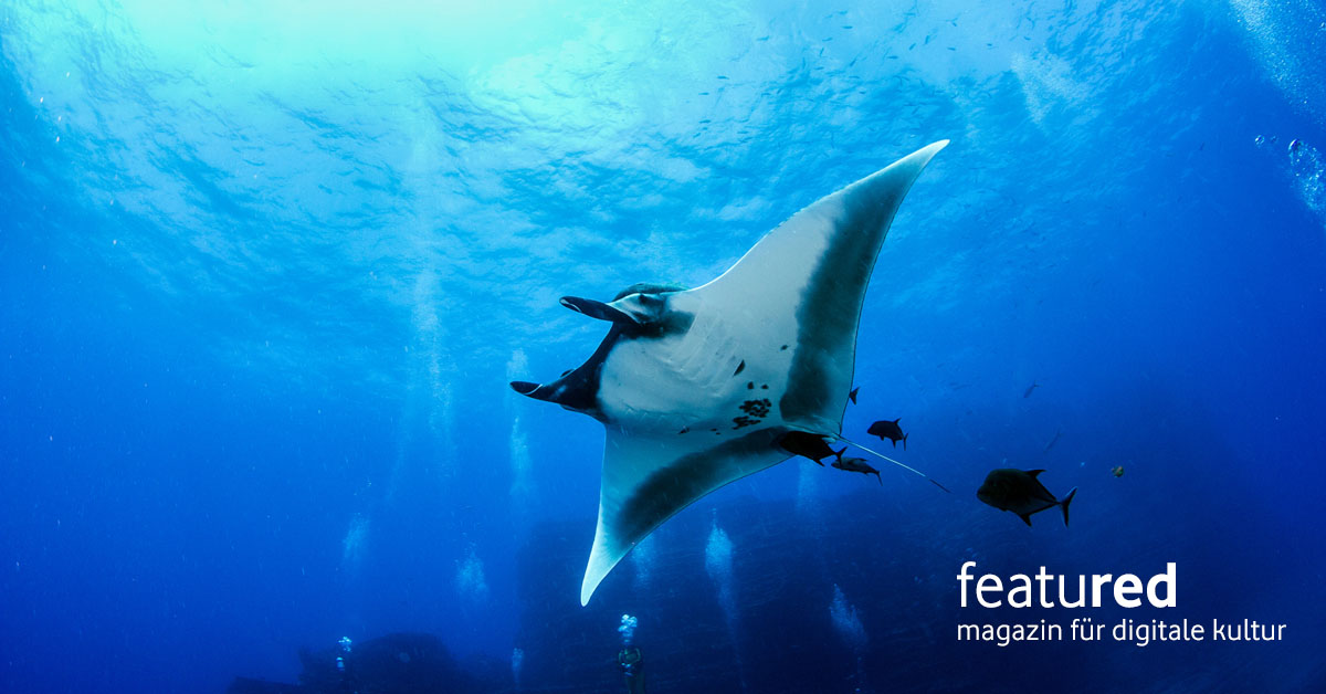 Ecosphere für Oculus: Naturdokumentation in Virtual Reality