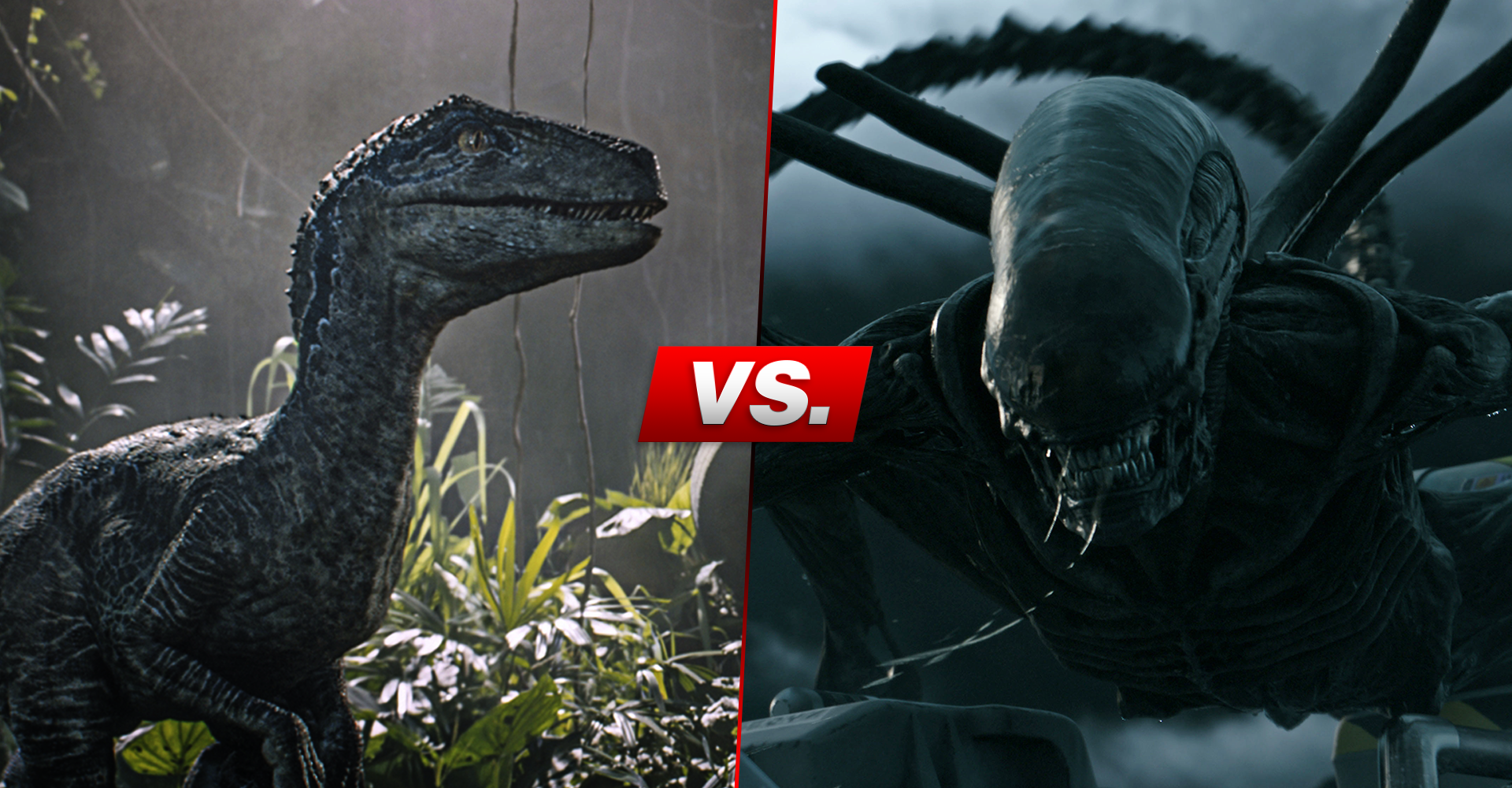 Creature Feature: Welche Kreatur siegt im Monster-Showdown?