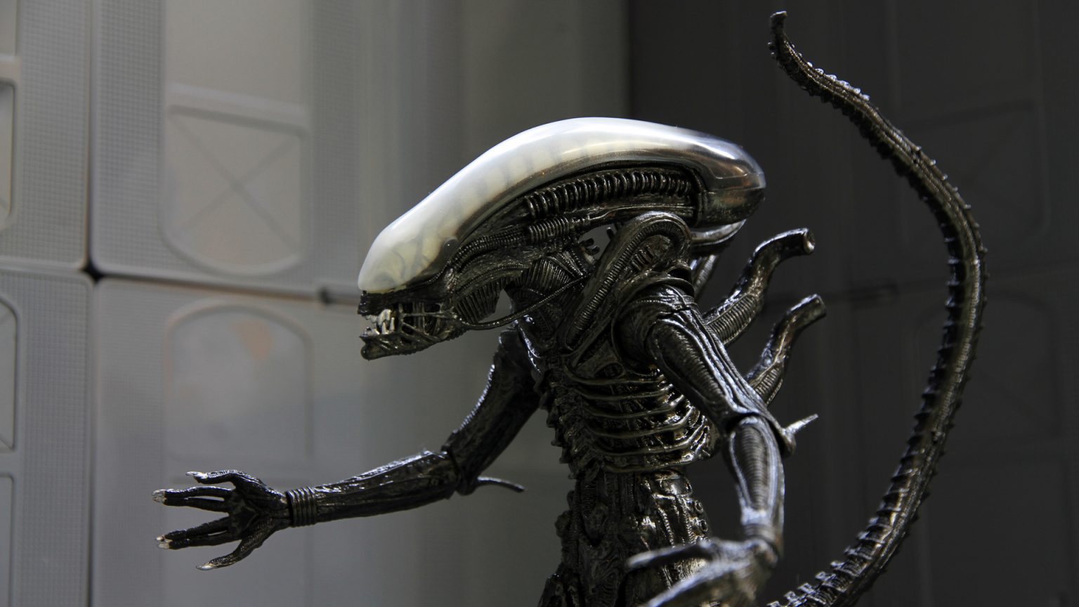 Alien: Earth kommt zu Disney+ – alle Infos zur Alien-Serie