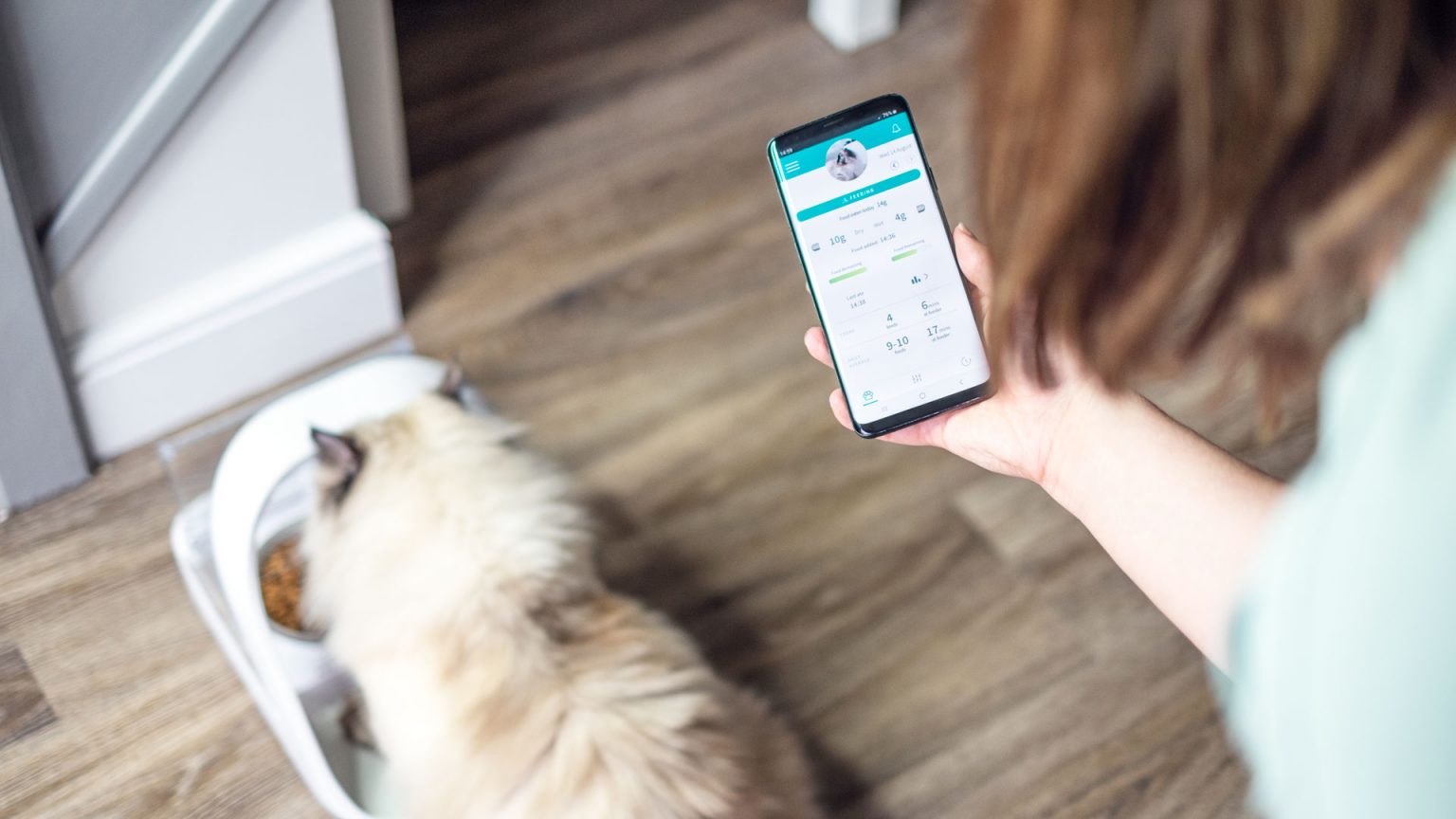 Das sind die 5 besten Apps für Haustierbesitzer:innen