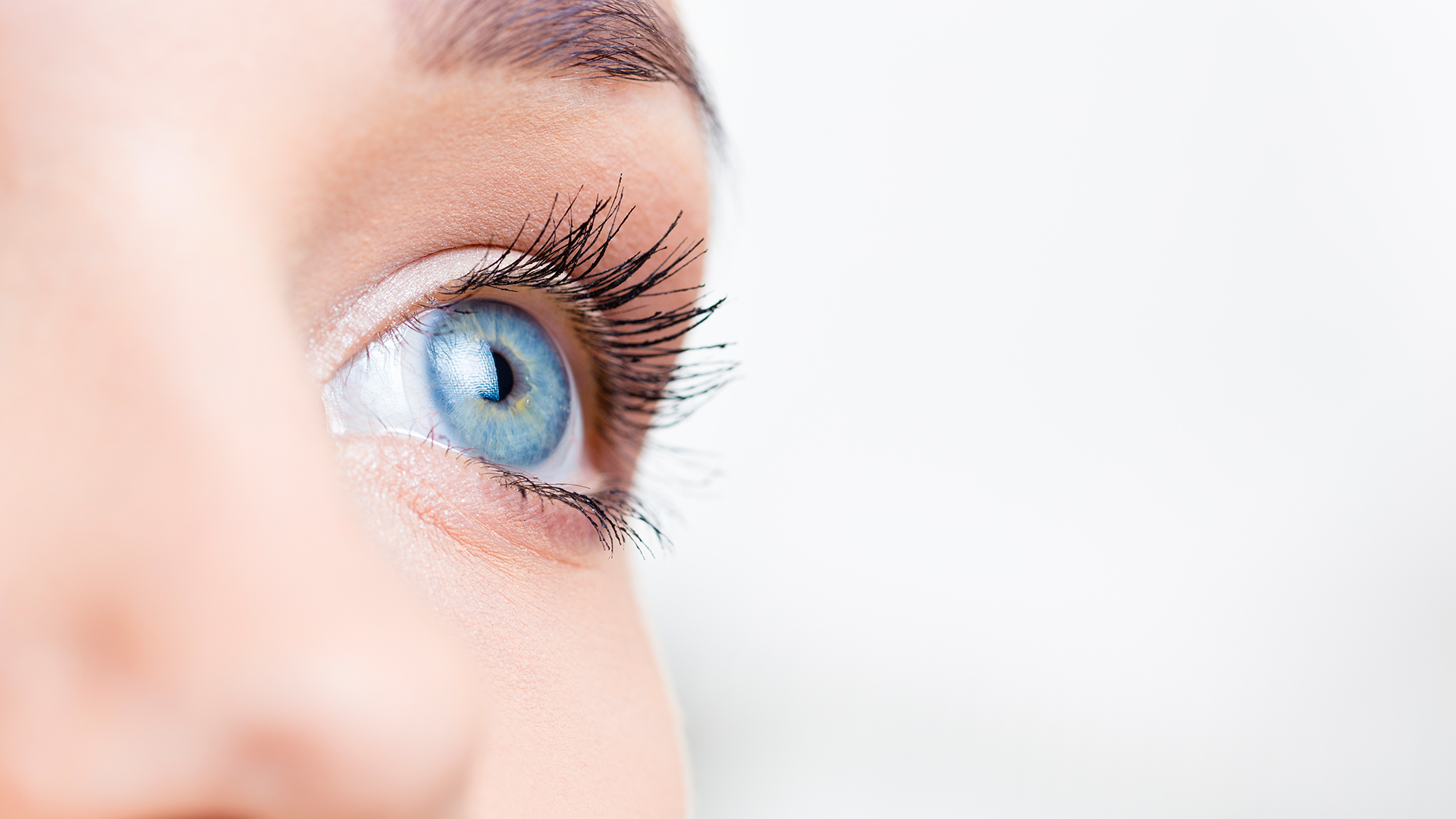 Mojo Lens: Augmented Reality Kontaktlinsen getestet