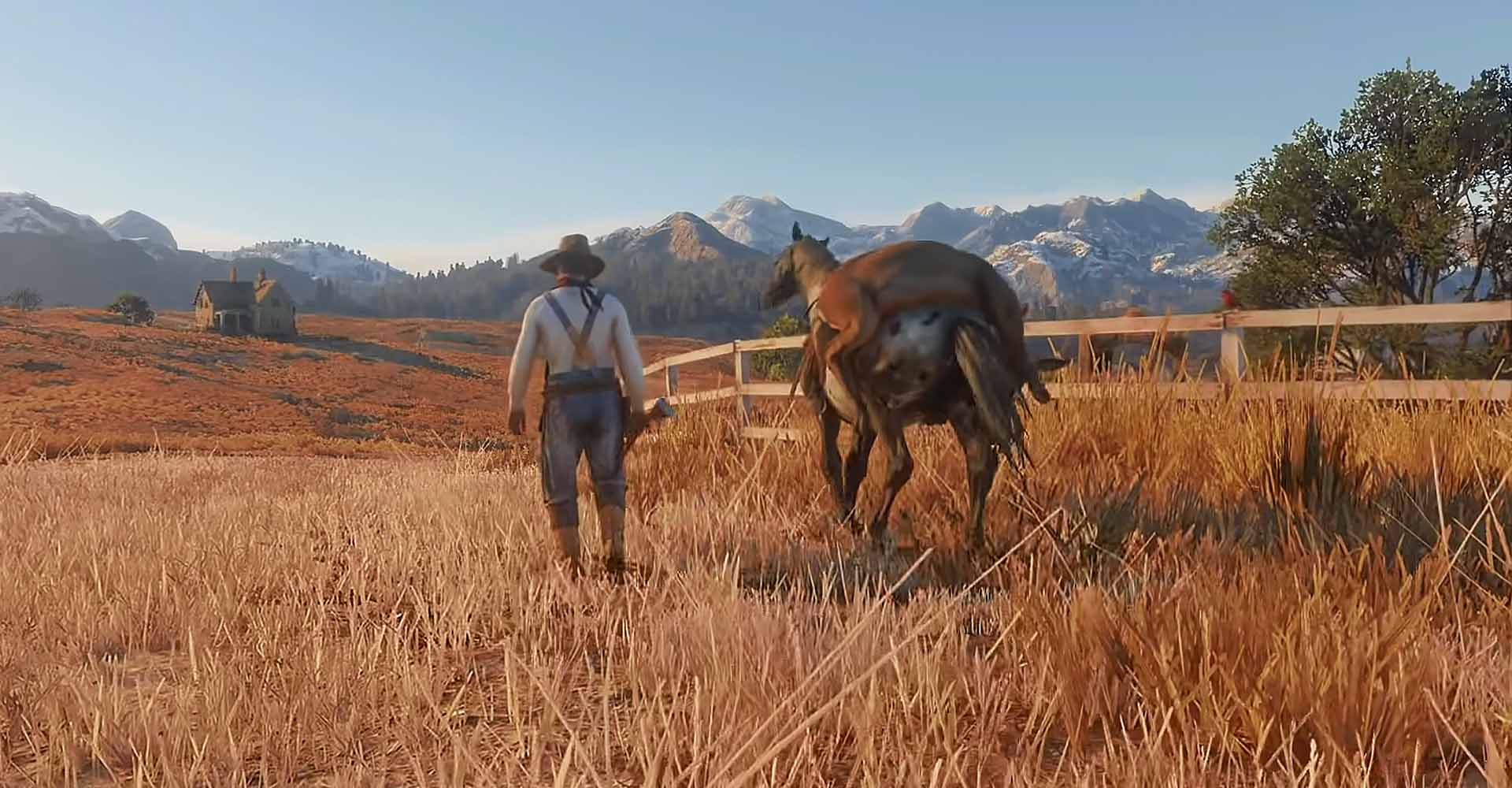 Red Dead Redemption 2: Die besten Mods & wie Du sie installierst