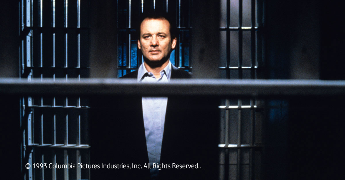 Die besten Filme von Bill Murray: seine größten Kino-Highlights